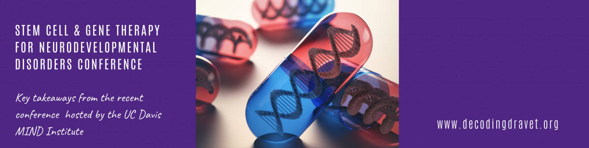 Highlights from the Stem Cell and Gene Therapy for Neurodevelopment ...