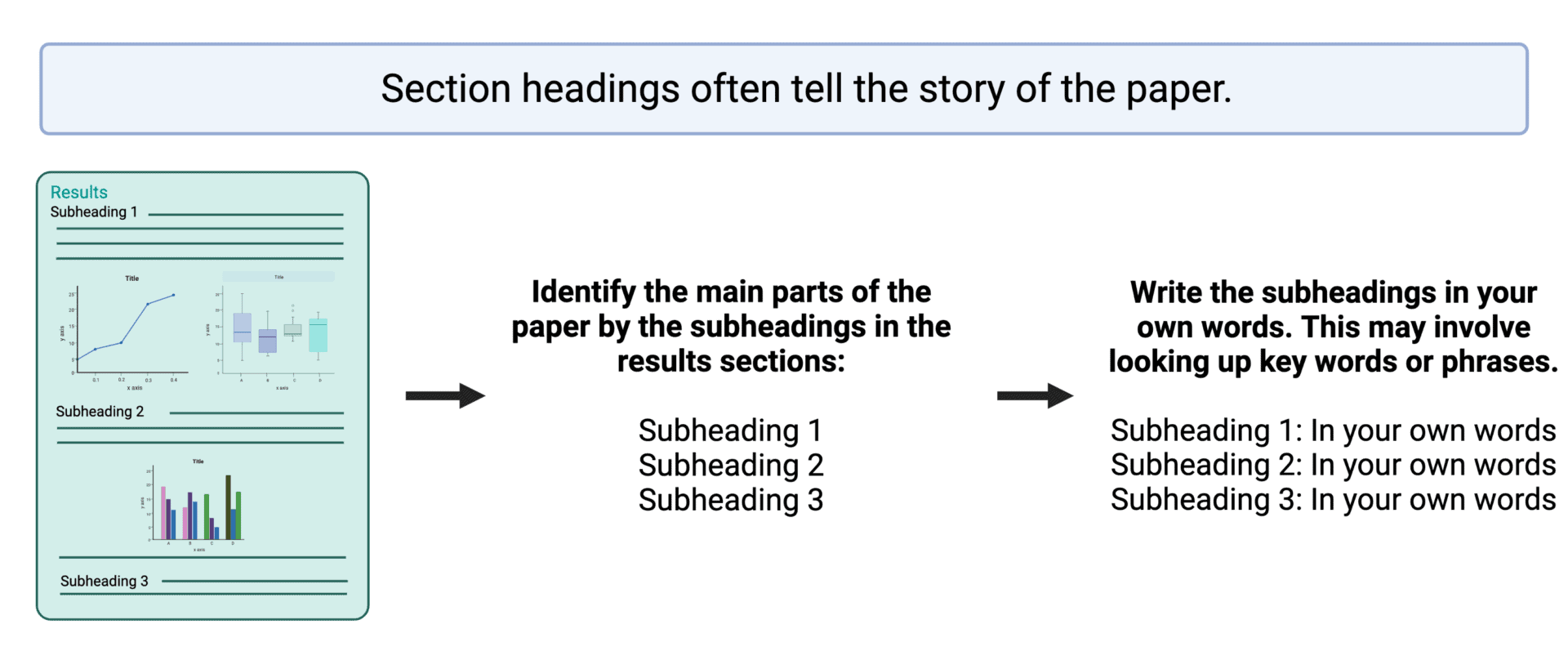 How to Read a Scientific Paper; Part 2: Breaking Down the Information ...
