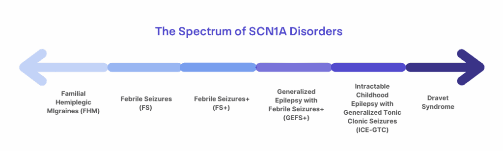 What is Dravet syndrome - Dravet Syndrome Foundation