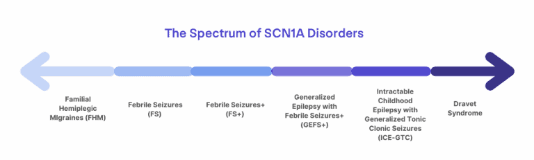 What is Dravet syndrome - Dravet Syndrome Foundation